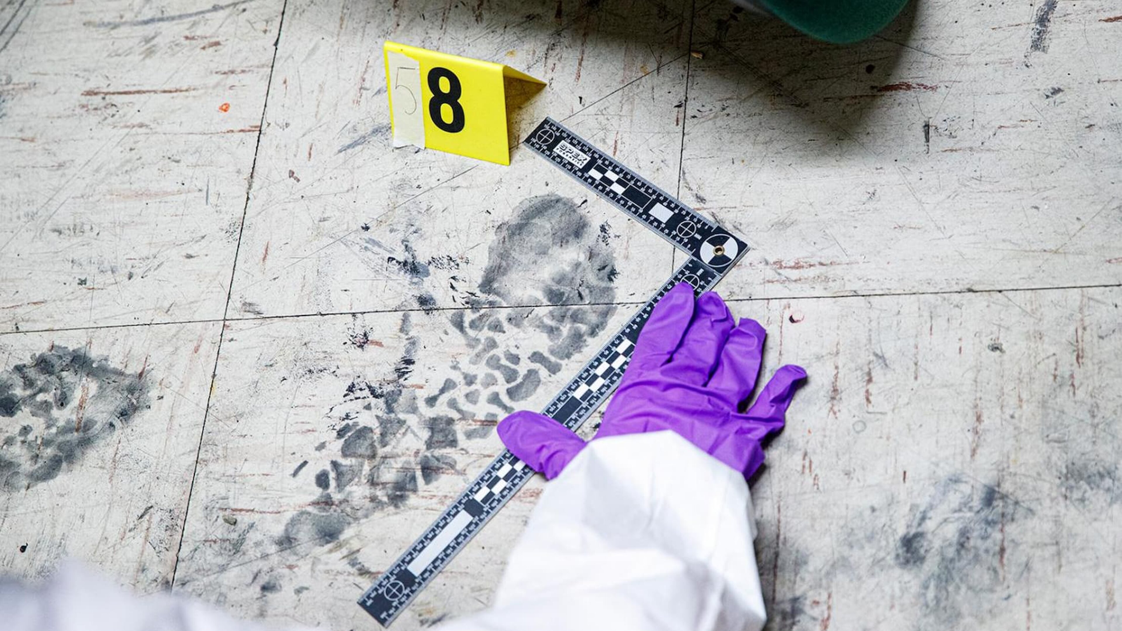 Experience the Lab: Forensic Science, Microbiology, & Biochemistry ...